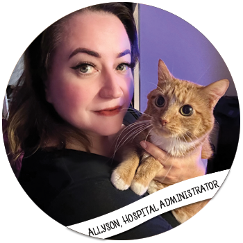 Our Team - Freddie's Place